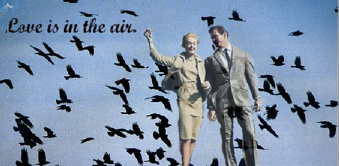 The birds essay. The birds is one for Alfred Hitchcock’s… | by Brooklyn ...