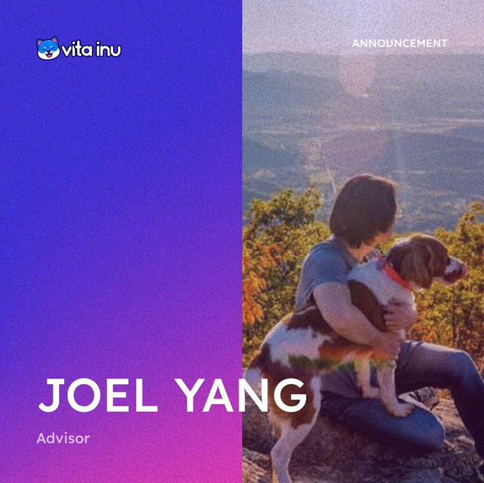 Actualización del proyecto de ENERO/2023 - Vita Inu (VINU)