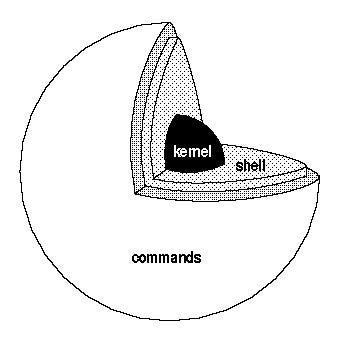 Shell in a nutshell.. What is a shell? | by joan cruz | Medium