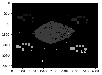 Leaf Disease Classification using Deep Learning and Image Segmentation ...