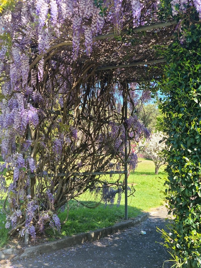 My heart goes garden, garden. in a garden, where nature meets human ...