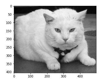 Deep Learning: Simple Image Classification using Convolutional Neural ...