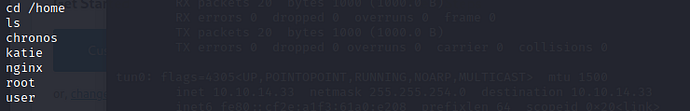 HackTheBox : Spectra Walkthrough