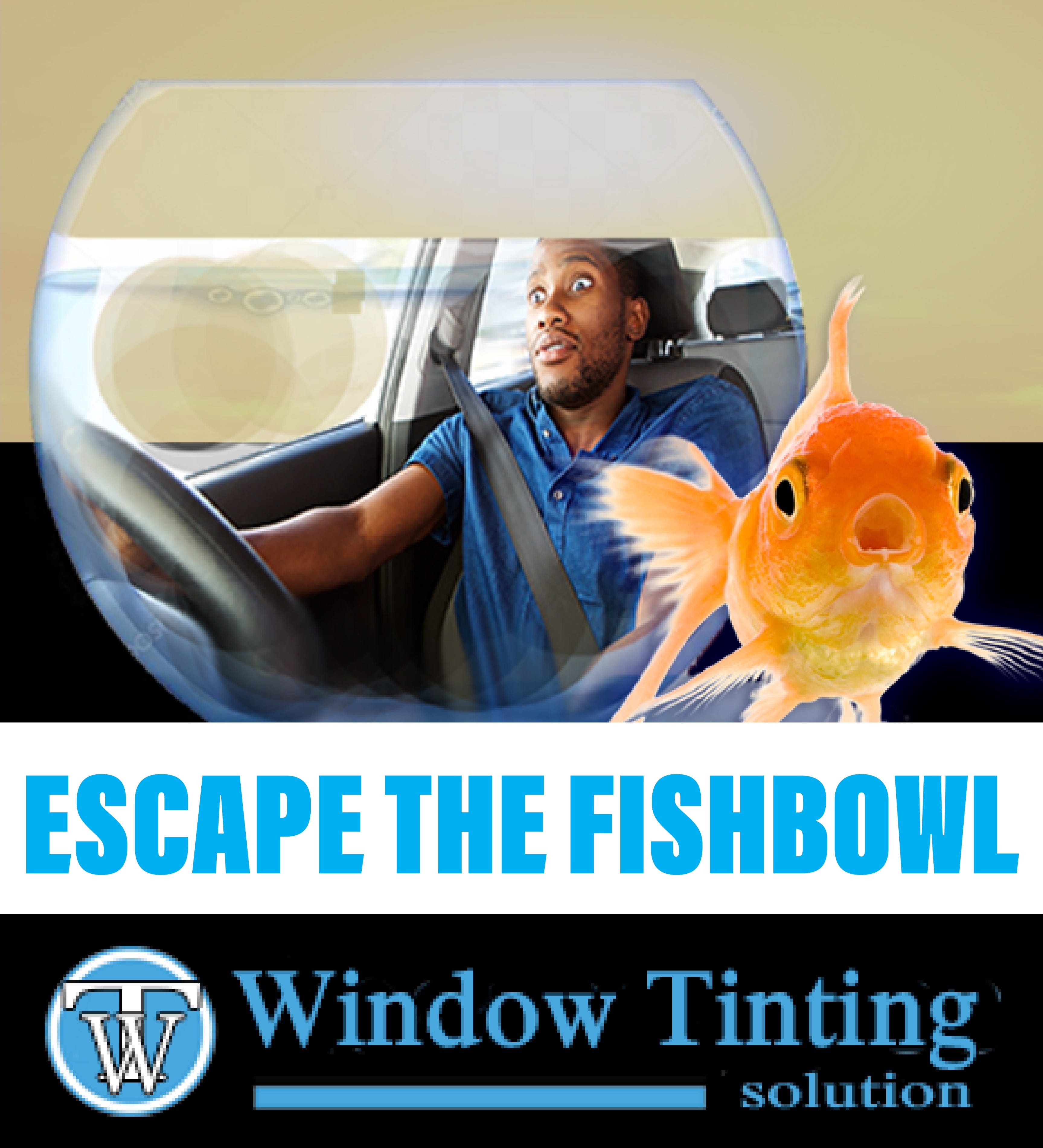 Are your trapped in a fishbowl? We can help you escape! | by Phoenix ...