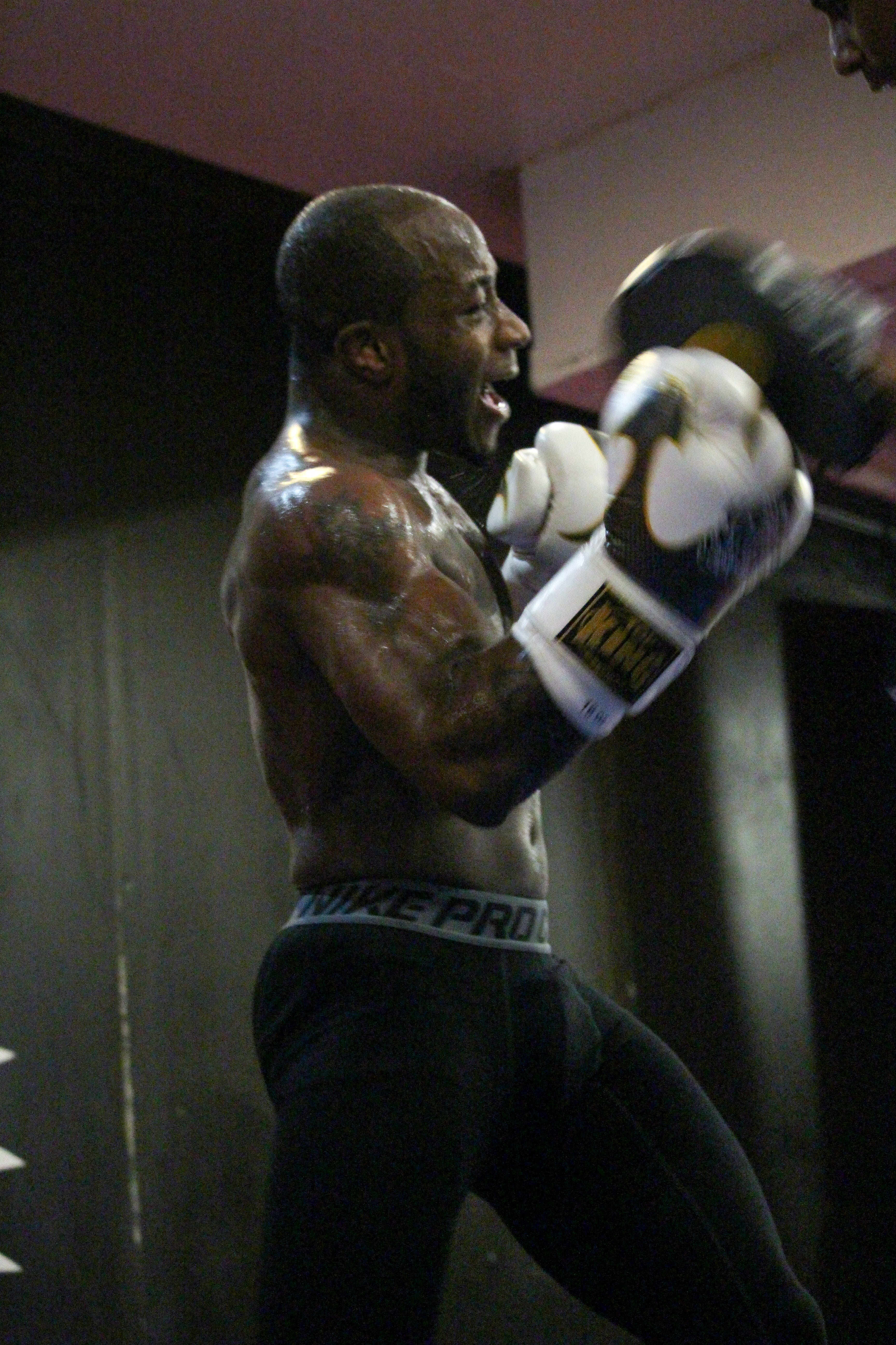 New York’s MMA “Underground King” | by Sonja Hansen | Digital Magazine ...