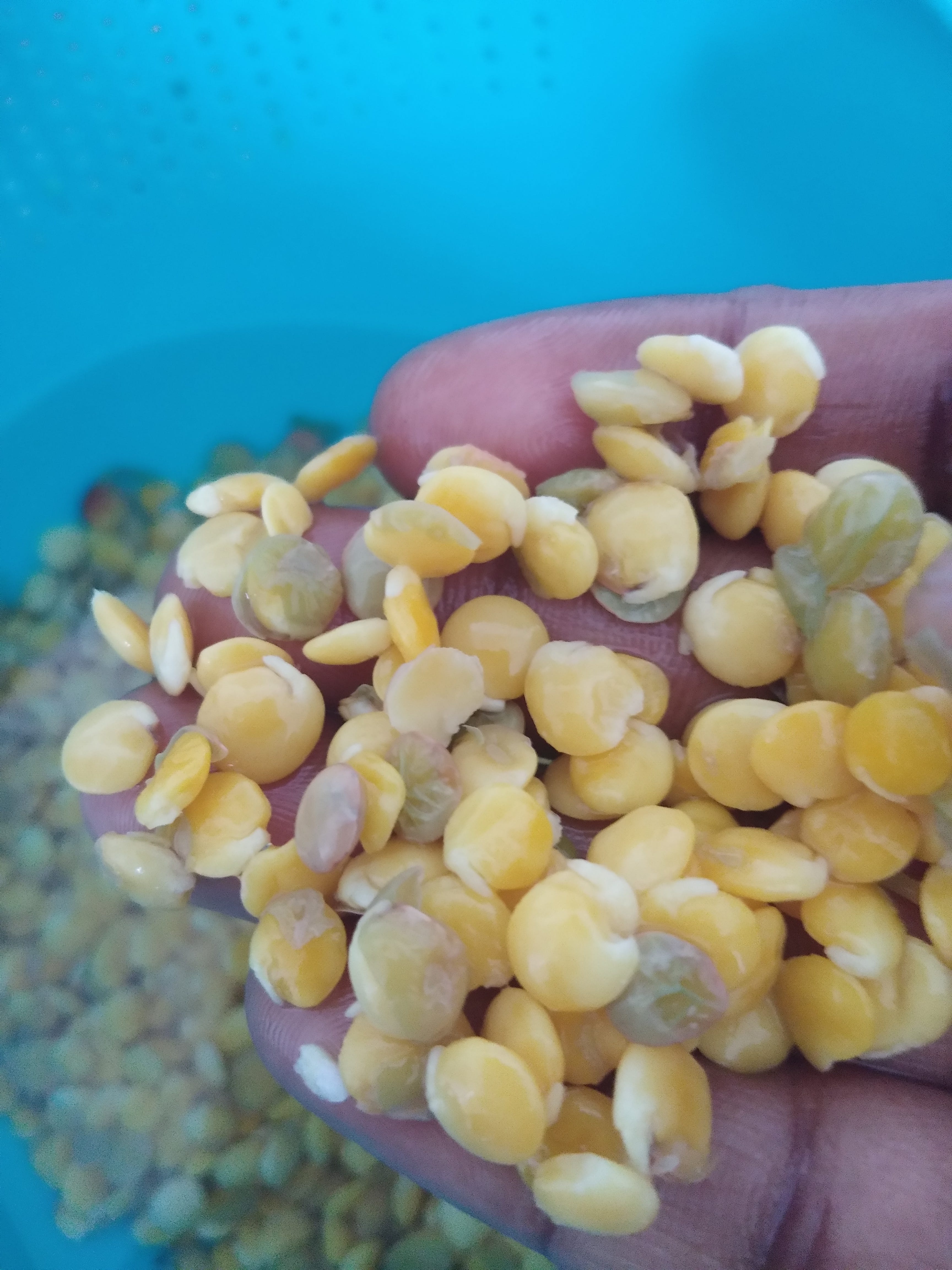 Simple Dal. Simple dal — south Indian lentil stew… | by Cozinha Indiana ...