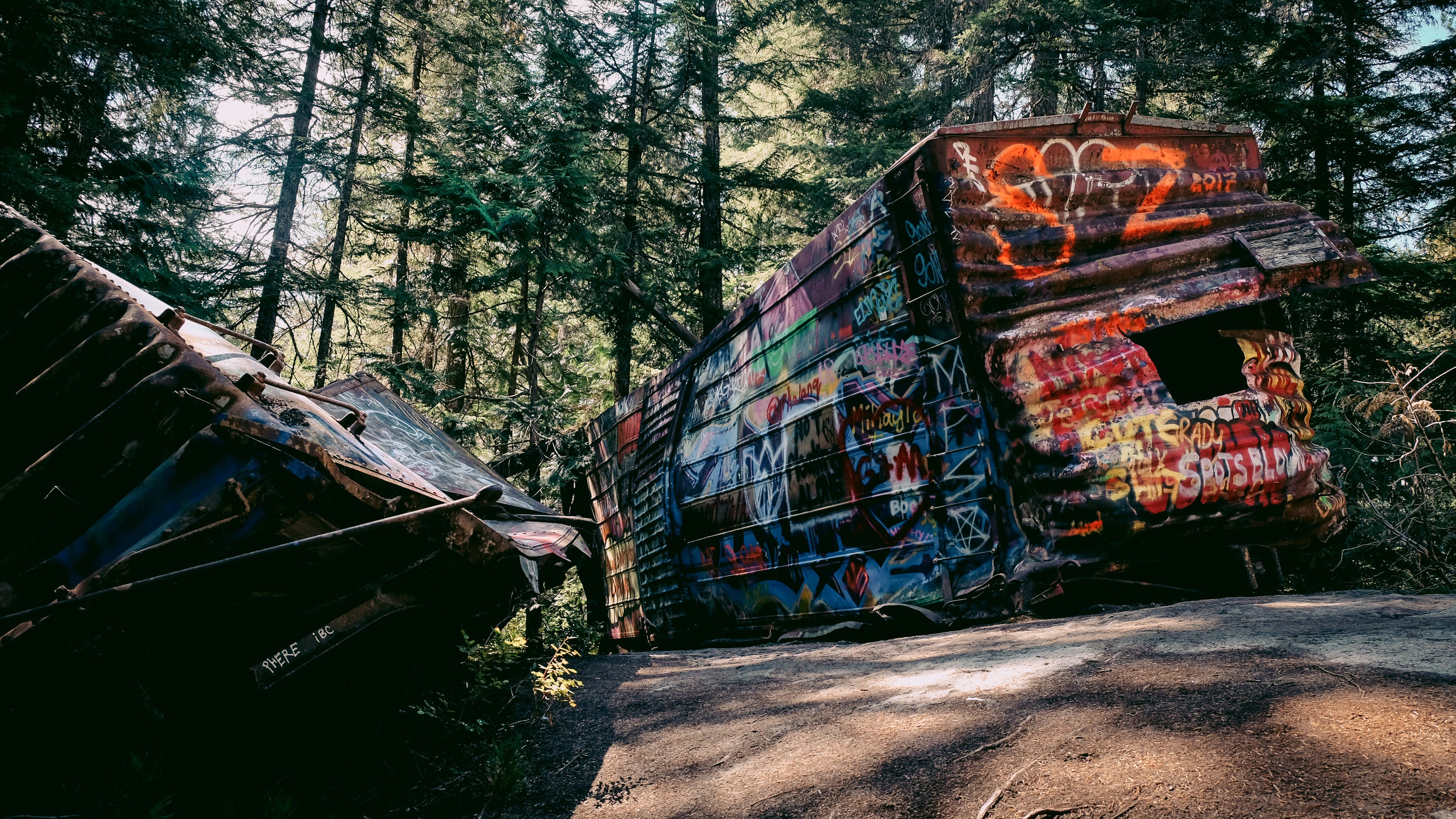 Hiking the ‘Whistler Train Wreck’ Trail | by Estelle Johnston | Medium