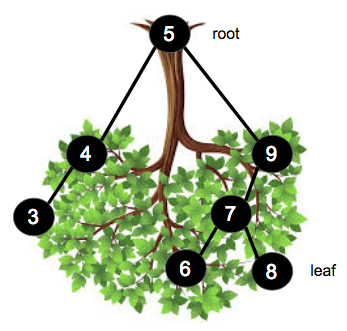 Traversing Trees: A brief intro to Tree data-structures | by bubble ...