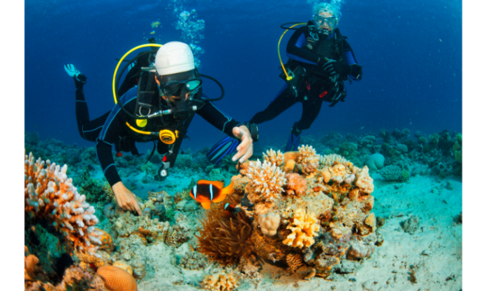 10 Expert Tips for Beginner Scuba Divers: How to Dive Safely and ...