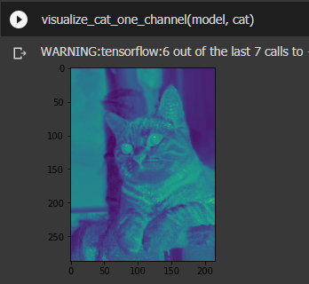 Visualizing Kernels and Feature Maps in Deep Learning Model (CNN) | by ...
