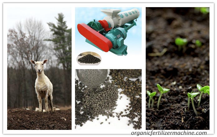 A Guide to Compost Sheep Manure for Organic Fertilizer | by Whirlston ...