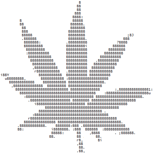 Build Your Brand With 420 | by meow meow meow | Medium