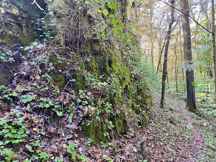 Hiking In a Swamp at Mingo National Wildlife Refuge | by Todd Smith ...
