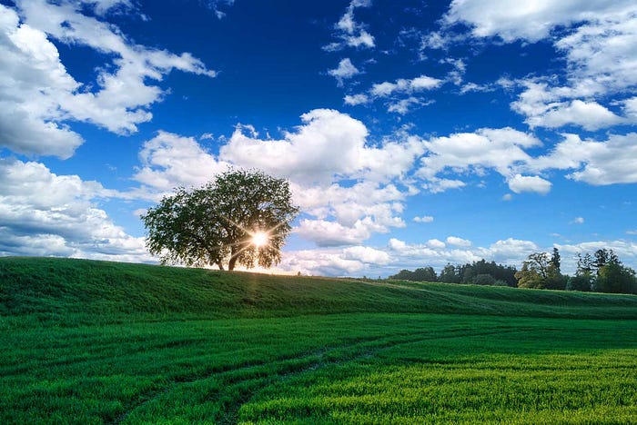 How to Make Every Day A Good Day | by Troy Mickins | Inspiration ...