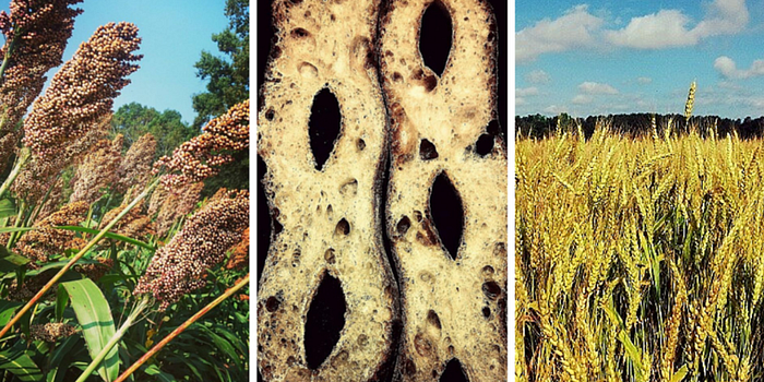 The Oven and The Grain Are One. Chicken Bridge Bakery on making a truly ...