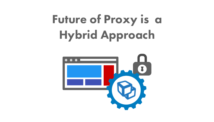 DevHub believes the future of Proxy is a Hybrid approach | by DevHub ...
