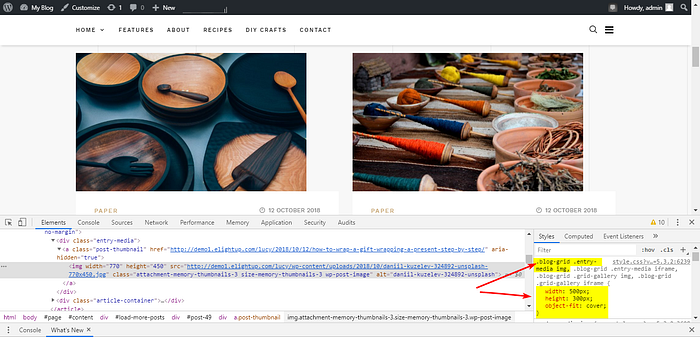 How to Crop Images in WordPress Using CSS? | by Janessa Tran ...