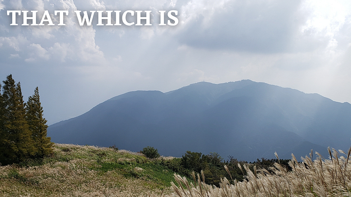Why Do We Hurt Nature?. I think nature is an extraordinarily… | by Yibo ...