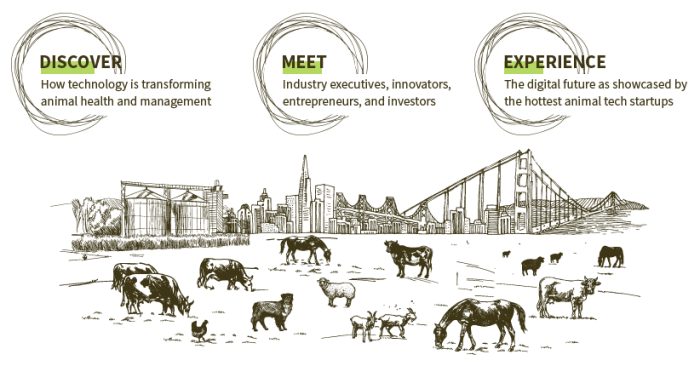 Digital Animal Summit — What It Is and Who It Is For | by Digital ...