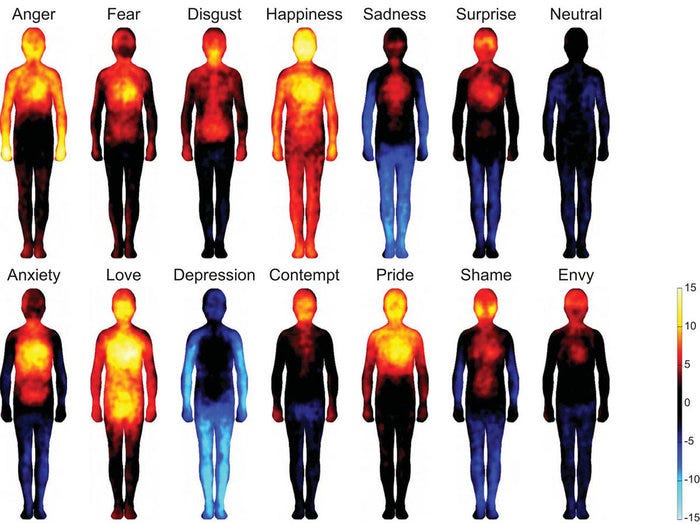 To know love, know the body. Insight into the great intangible | by ...