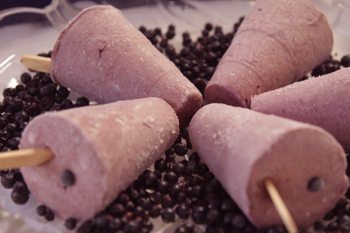 Andean Berry, the fruit that’s conquering National gastronomy | by ...