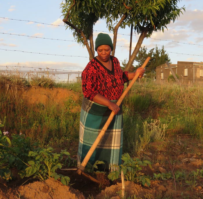 A Day In The Life Of Mosotho Women: Stories of Strength and ...