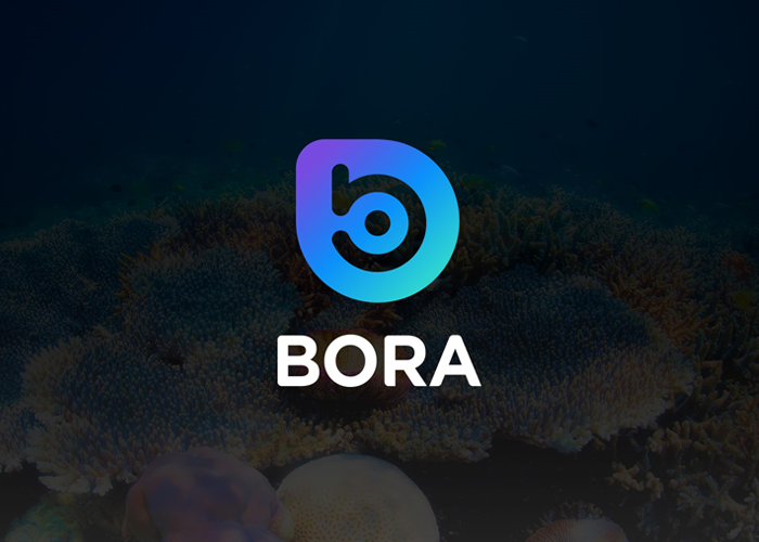 Introducing BORA’s Brand Identity | by BORA | BORA | Medium