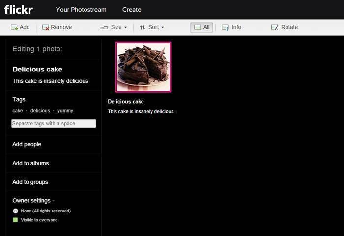 Flickr. Flick is a photo and video hosting… | by Ashleigh Root | Medium