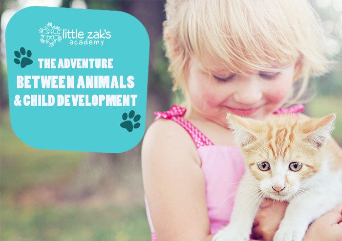The Adventure Between Animals and Child Development | by Little Zak's ...