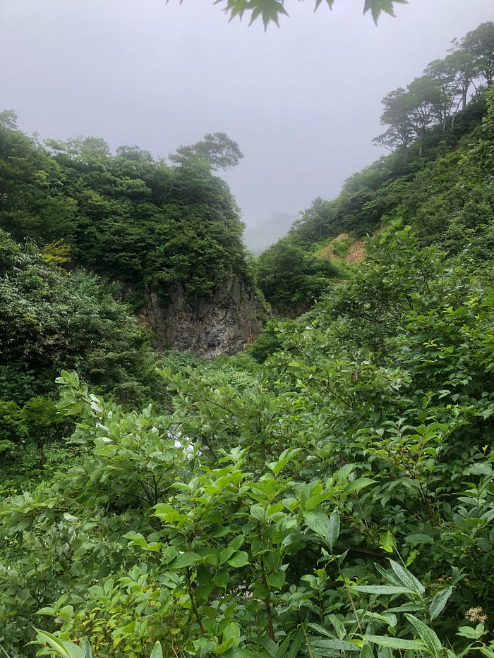 Gassan, the Dewa Sanzan’s “Mountain of Death” (Mt. Gassan) - Tim Bunting