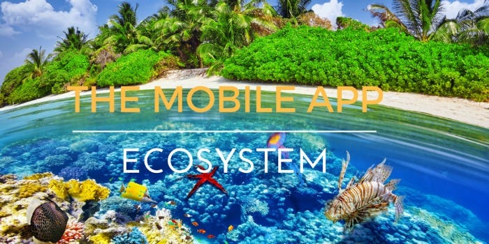 The Mobile App Ecosystem The Major Categories And Players By