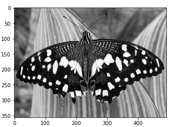 Image Processing with Python-Open CV Module. | by Shubhra Dalakoti | Medium