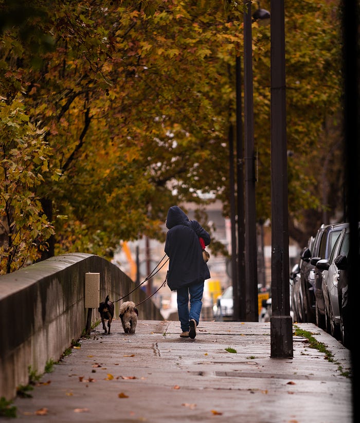 Here’s the Poop on Paris Sidewalks | by Lisa Rankin | Medium