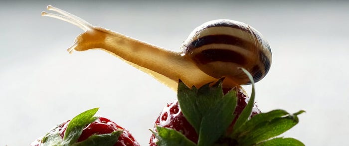 IoT Explained Simply. You probably might have heard about… | by ...