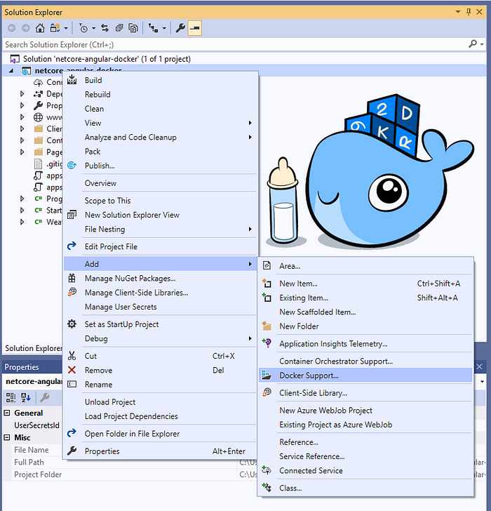 Data And Devops Practices And Tools Create An Aspnet Core 30 Angular Spa Project With Docker 9052