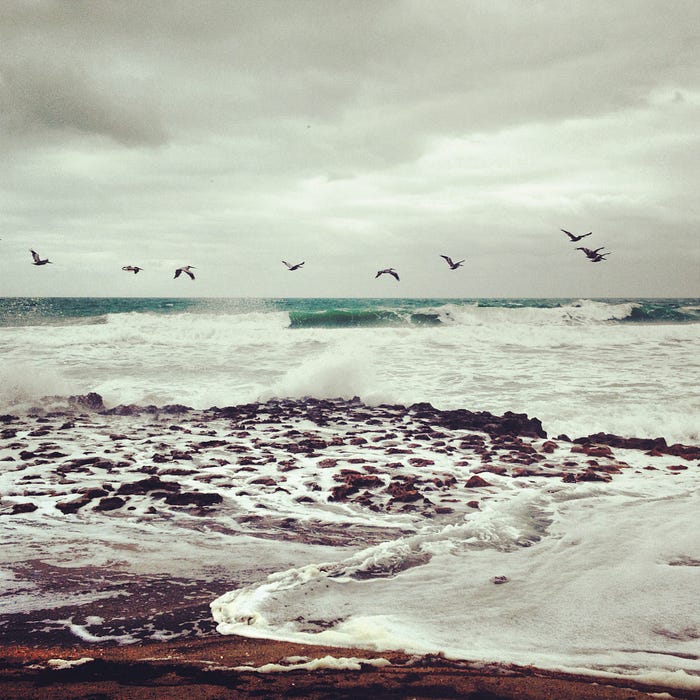 Windy Waters:. A Moment Near The Sea | by justin lyons | Medium