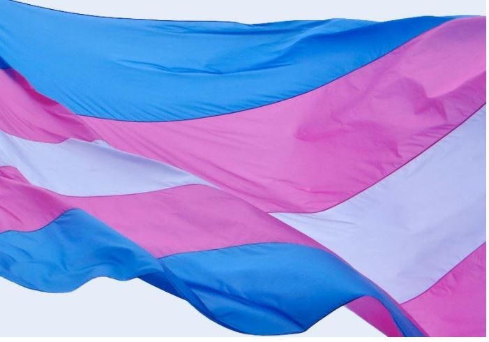 The colors of this flag, the Transgender Flag, look so good together ...