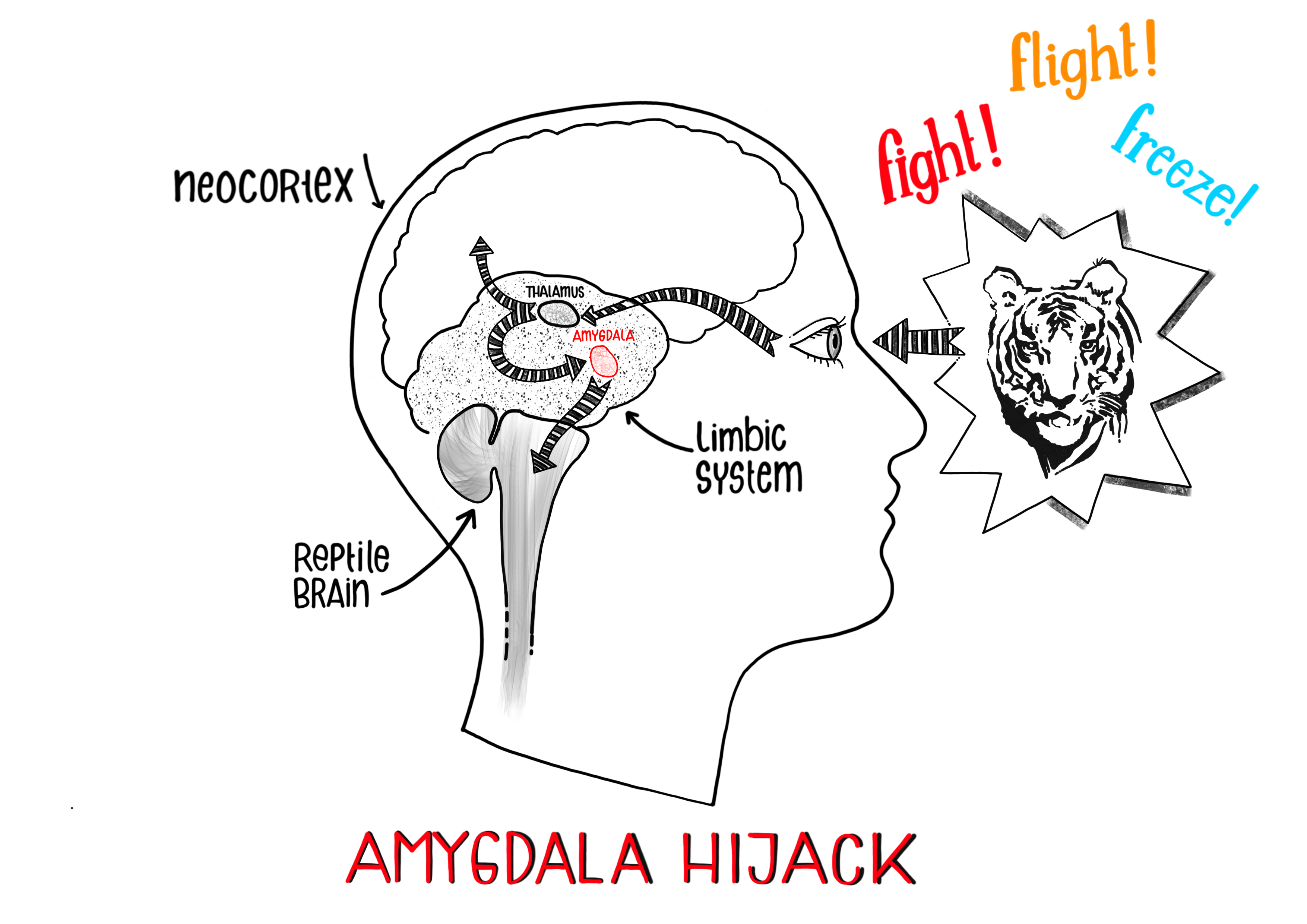 When The Brain Dials 911 (Book Snippet 16) | by Nadjeschda Taranczewski ...