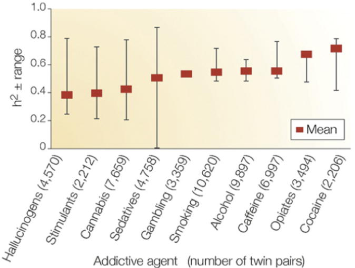 A Genetic Perspective on Drug Addiction | by Kate Hofbauer | Medium