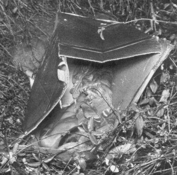 The Boy in the Box Finally Identified | by The Mystique | The Mystery ...