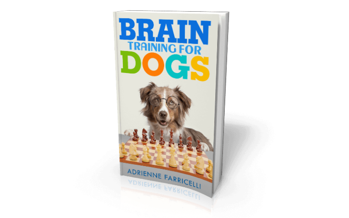 Brain Training For Dogs Review: Is it worth buying it? |Latest Review ...