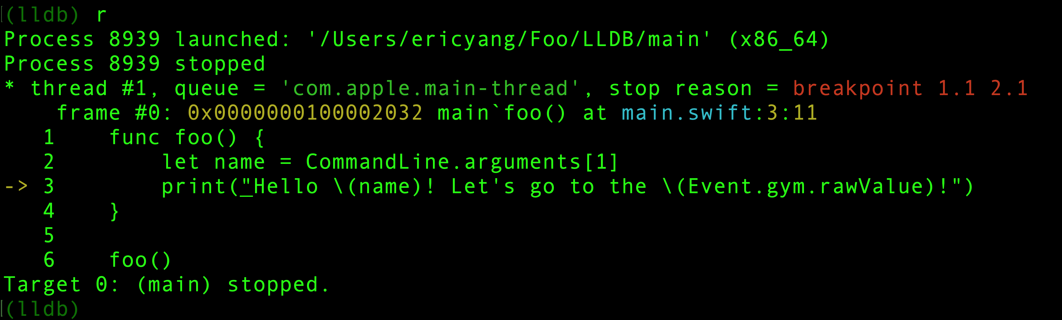 10 Tips to Run Swift From Your Terminal | by Eric Yang | Better Programming | Nov, 2020 | Medium