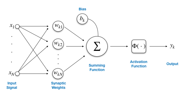 Perceptron. Neuron is the fundamental unit of human… | by Paola ...