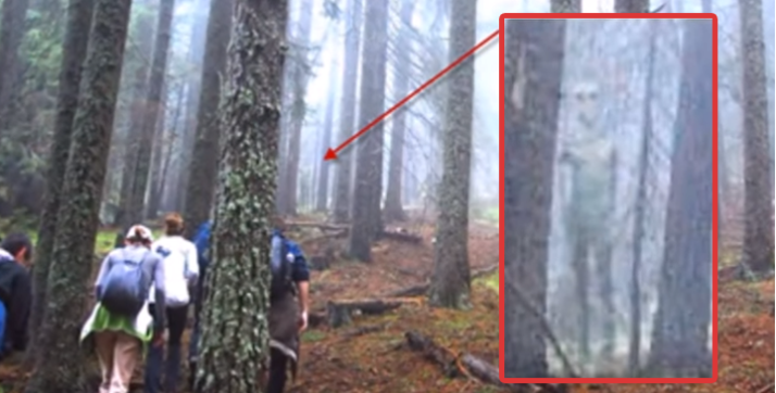 Bulgarian hikers capture clear photo of Giant, Gray Humanoid like Alien ...