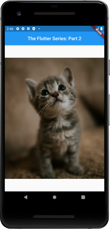 Old dog, New Flutter trick.(Part 2) | by Pieter Venter | DVT Software Engineering | Medium