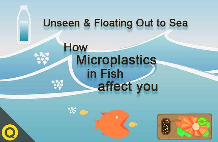 Unseen and Floating Out to Sea: How Microplastics in Fish Affect You ...
