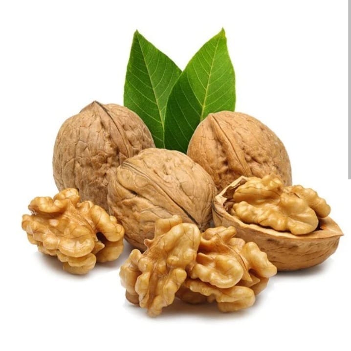 Nuts and their amazing benefits for the brain and body | by Radeanu ...