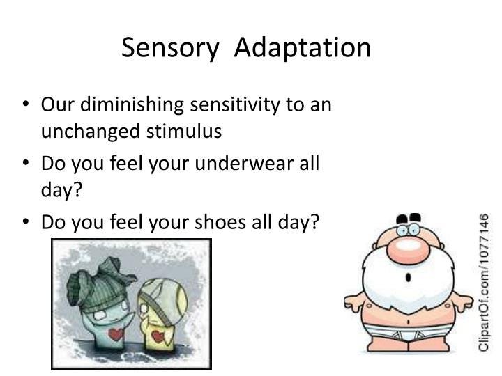 Perceptual Adaptation