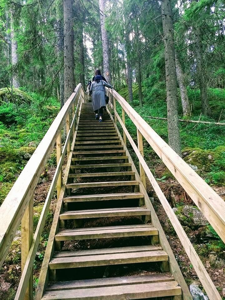 Letting Go: A Law Of Nature. It’s astounding what a solo walk in the ...