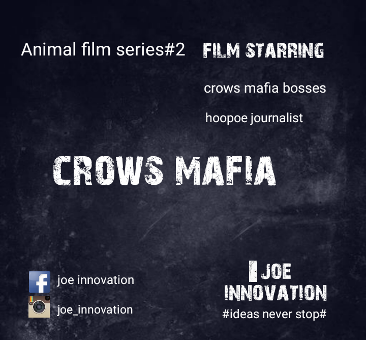 The Crows Mafia. At some underground place, located… | by joe ...